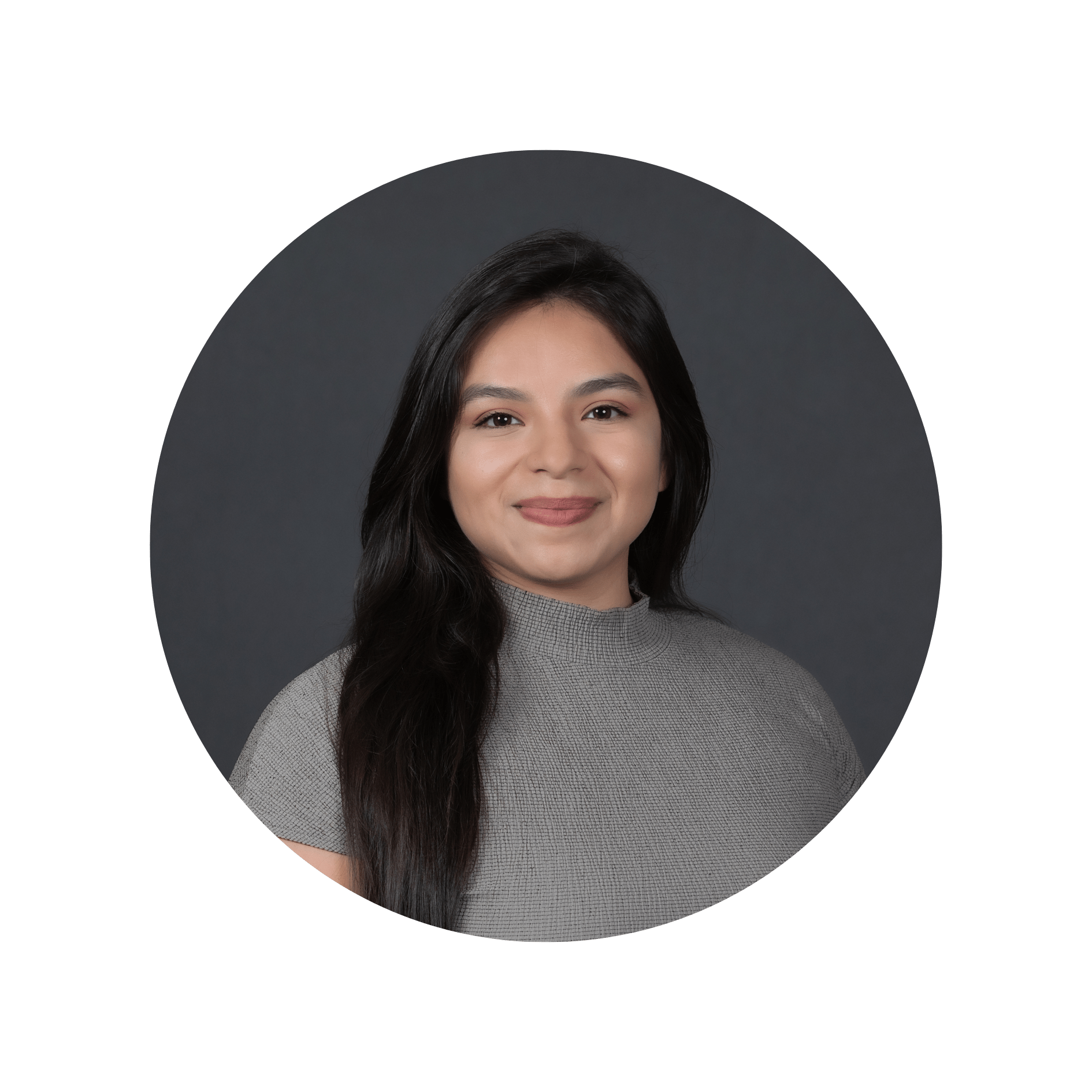 Meet the Team